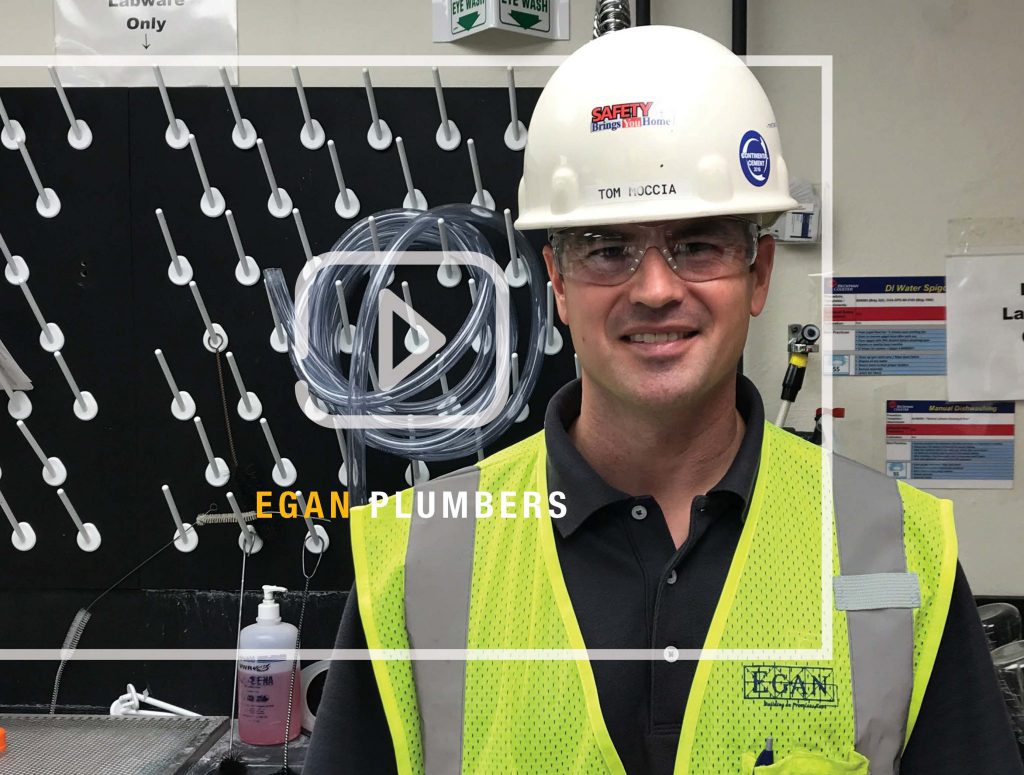 MailChimpGraphic - Egan Company Egan Company